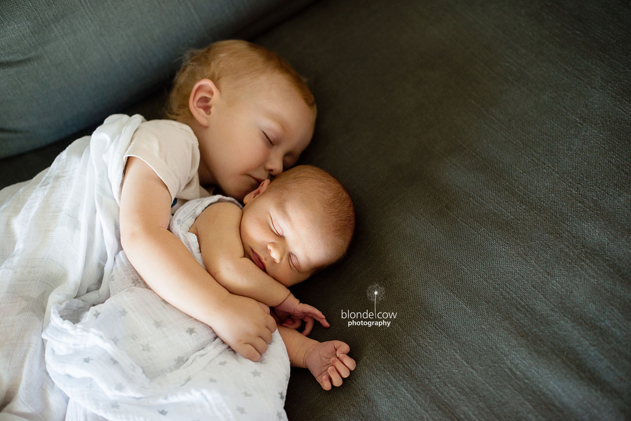 Baby Camden | Blonde Cow Photography